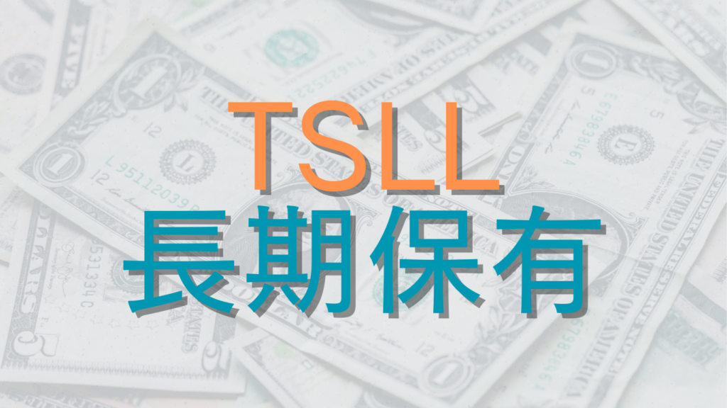 TSLLの長期保有はありなのか？テスラ株の2倍の運用成果を目指すETFを解説 | GOODVIBES