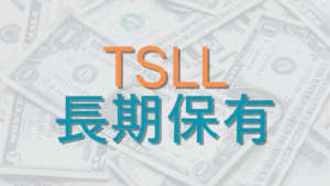 TSLLの長期保有はありなのか？テスラ株の2倍の運用成果を目指すETFを解説 | GOODVIBES
